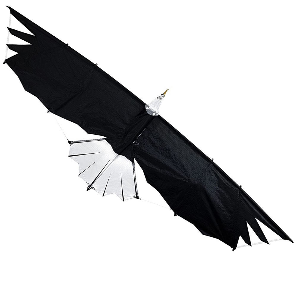 Revolution Kites Eagle Raptor – Rev Kites UK